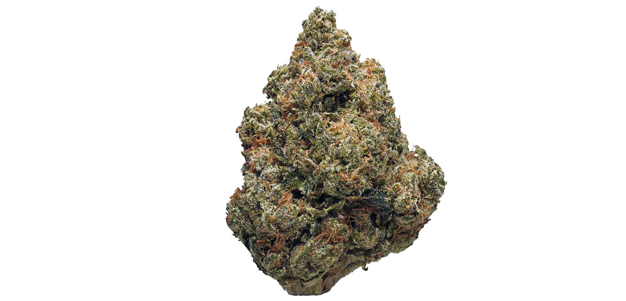 Headband Strain 👱‍♀️💗 - Review & Information - Cannabis-MD 2024